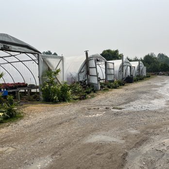 PLATT’S FARM MARKET - Updated December 2025 - 27 Photos & 31 Reviews ...