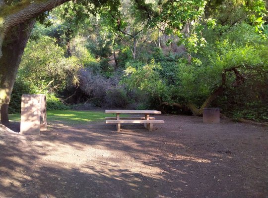 TURLOCK LAKE STATE RECREATION AREA - 119 Photos & 46 Reviews - 22600 ...