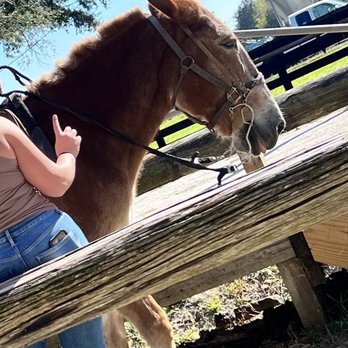 DIAMOND D RANCH - Updated July 2025 - 64 Photos & 21 Reviews - 5903-1 ...