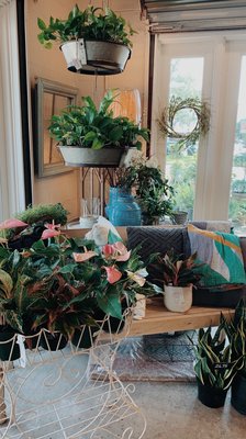 COURTNEY FARMS - Updated August 2024 - 17 Photos - 801 Washington Ave ...