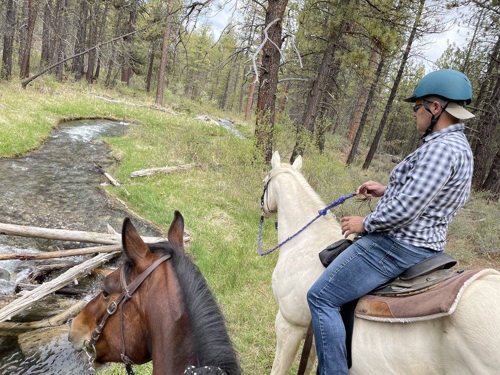 WILDERNESS HORSE ADVENTURES - Updated May 2025 - 66 Photos & 29 Reviews ...