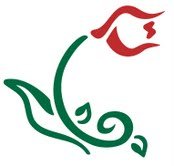 SPRINGSTONE MONTESSORI SCHOOL - Updated December 2025 - 14 Photos & 65 ...