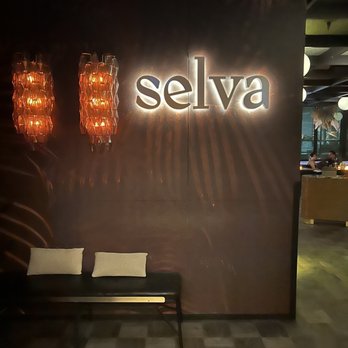 SELVA - Updated June 2025 - 98 Photos & 36 Reviews - 311 N Morgan St ...