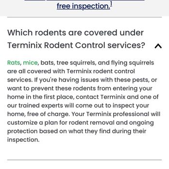 TERMINIX - Updated October 2025 - 14 Photos & 17 Reviews - 5200 S ...