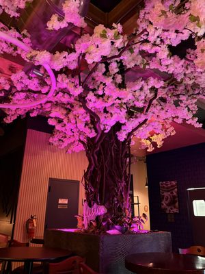 FUSION CAFE & LOUNGE - Updated January 2026 - 55 Photos & 48 Reviews ...