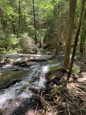 FALL BRANCH FALLS - Updated July 2025 - 80 Photos & 35 Reviews - 3000 ...