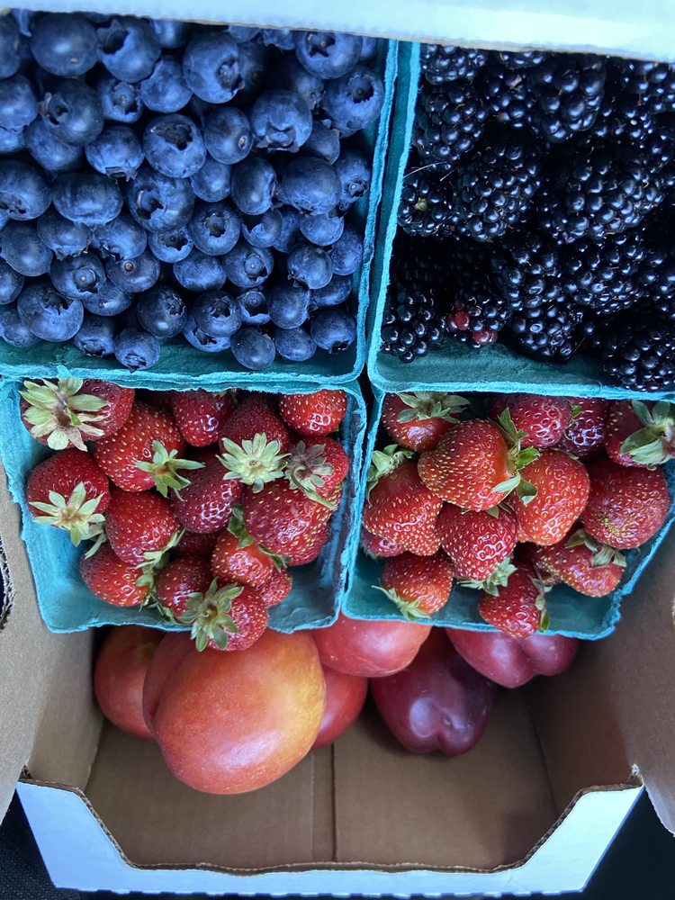 THOMPSON FARMS - Updated December 2025 - 12 Photos & 18 Reviews - 24727 ...