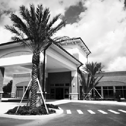 ENCOMPASS HEALTH REHABILITATION HOSPITAL OF ALTAMONTE SPRINGS - 831 S ...