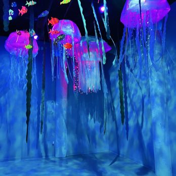 WONDER CHAMBER - Updated January 2026 - 104 Photos & 56 Reviews - 8800 ...