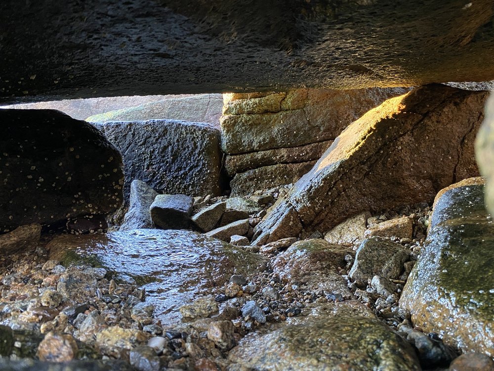 FOLLY COVE - Updated December 2025 - 323R Granite St, Rockport ...