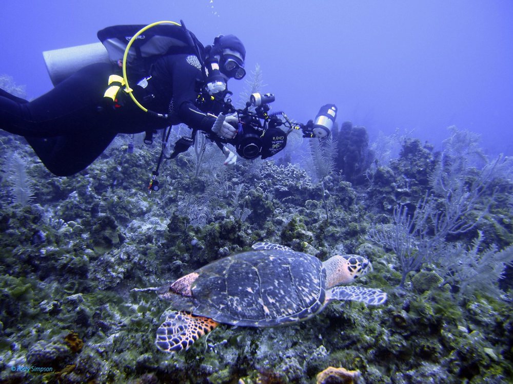 DJ’S SCUBA LOCKER - Updated October 2025 - 11 Photos & 20 Reviews ...