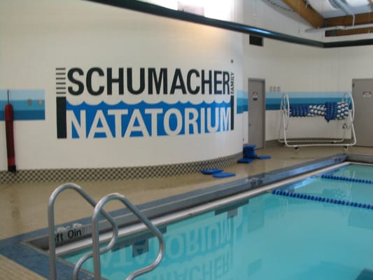 COMMUNITY CENTER POOL - Updated November 2025 - 1515 W Touhy Ave, Park ...