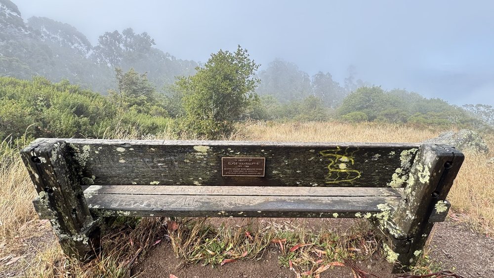 MORNING SUN TRAIL - Updated December 2025 - 63 Photos - Sausalito ...