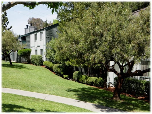 IGNACIO HILLS - Updated April 2026 - 11 Photos - 350 Ignacio Blvd ...