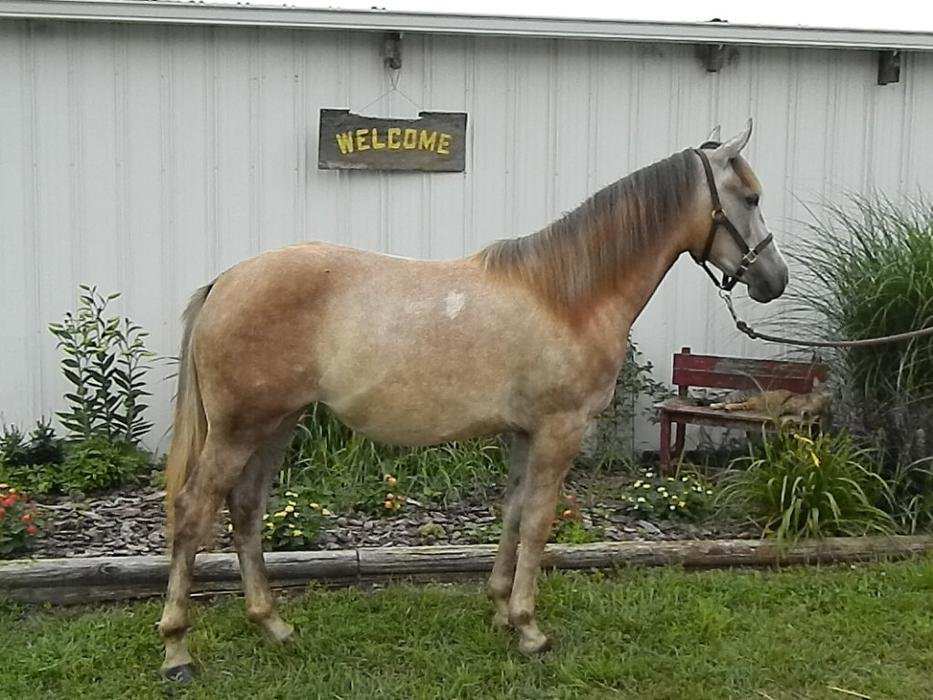 CO LESSONS AND TRAINING - 6051 Jacksonburg Rd, Middletown, Ohio, États ...