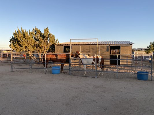 THE BUCKIN’ FITCH RANCH - Updated August 2024 - 37 Photos - 1716 W Ave ...