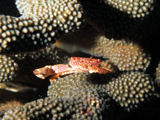 POINT PANIC BEACH PARK - Updated December 2025 - 469 Photos & 23 ...