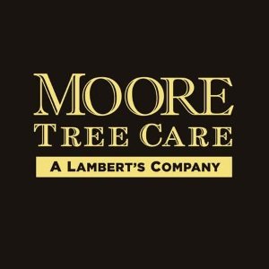 MOORE TREE CARE - Updated August 2025 - 10 Photos - 2950 Irving Blvd ...