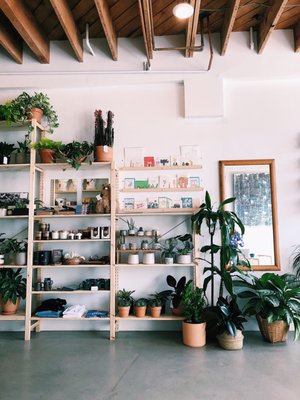 SACHI.LA - 255 Photos & 189 Reviews - Coffee & Tea - 4574 S Centinela ...