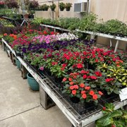RIGHTWAY GARDEN CENTER - 28 Photos - Landscaping - 5529 N Bend Rd ...