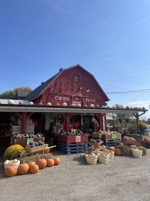CARMA FARMS - Updated October 2025 - 72 Photos & 16 Reviews - 11471 ...