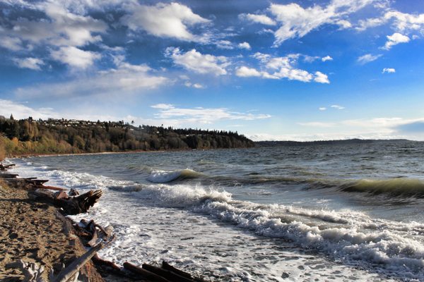 RICHMOND BEACH SALTWATER PARK - Updated November 2024 - 362 Photos & 93 ...