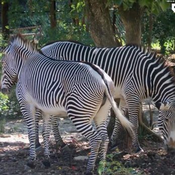 JACKSON ZOOLOGICAL PARK - Updated September 2025 - 127 Photos & 33 ...