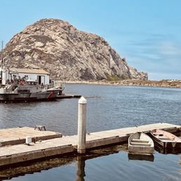 TOGNAZZINI’S DOCKSIDE - Updated July 2025 - 1087 Photos & 1169 Reviews ...