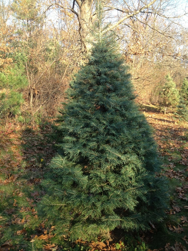 WOLF HILL FARM - Updated December 2025 - 30 Jericho Hill Rd ...