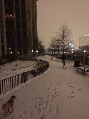 ONE RIVER PLACE CONDOMINIUMS - Updated January 2025 - 758 N Larrabee St ...