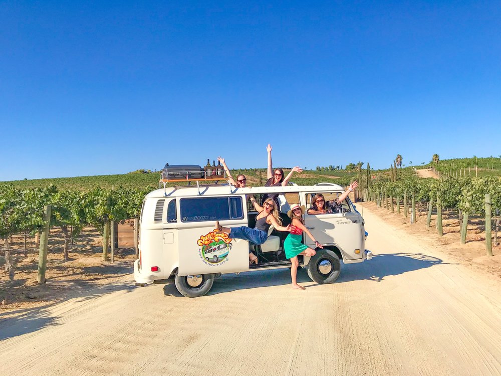 VAN’N BOOZY TEMECULA WINE TOURS - Updated April 2025 - 366 Photos & 307 ...