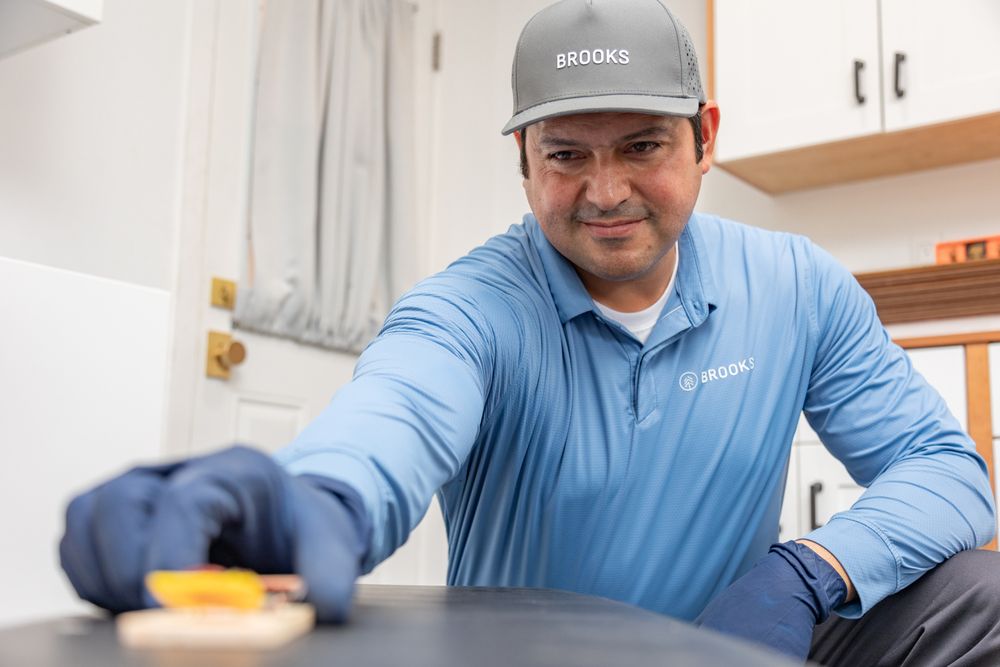 BROOKS PEST SOLUTIONS - Updated December 2025 - 86 Photos & 10 Reviews ...