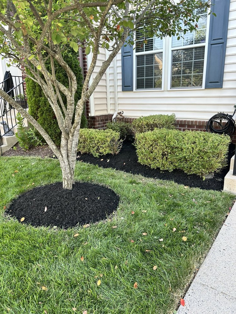 PRO LAWN CUTS - Updated May 2026 - 420 Waverley Dr, Frederick, Maryland ...