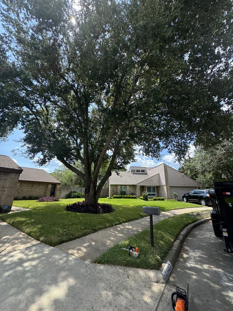 TURBO TREE SERVICE - Updated October 2024 - 44 Photos - Missouri City ...