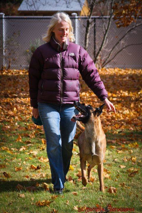 JANICE RITTER - A BETTER WAY DOG TRAINING - Updated December 2025 ...