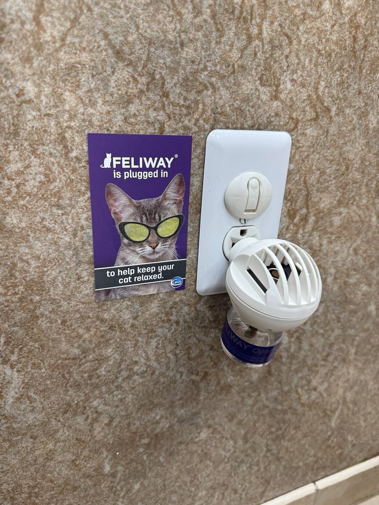 DENVER CAT HOSPITAL - Updated November 2024 - 15 Reviews - 5353 East ...