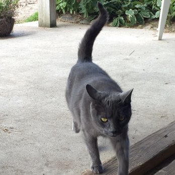 MAPLE RIDGE STABLES - Updated October 2025 - 15 Photos - 8097 Sunshine ...