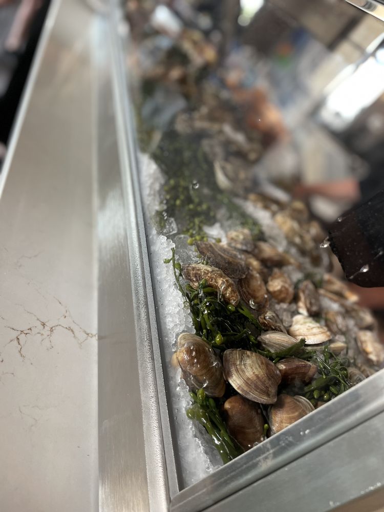 VILLANI & CO - Updated August 2024 - 83 Photos & 92 Reviews - 19790 ...