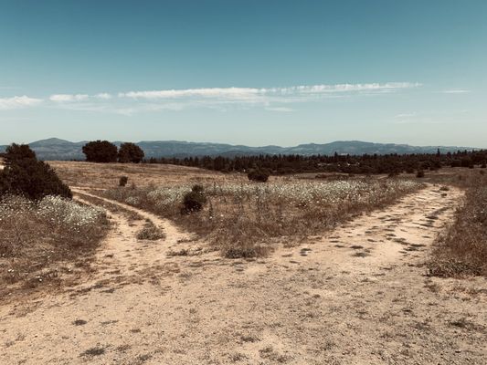 ALSTON PARK - 218 Photos & 75 Reviews - Dry Creek Rd, Napa, California ...