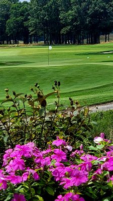 COLONIAL SPRINGS GOLF CLUB - 70 Photos & 10 Reviews - 1 Long Island Ave ...