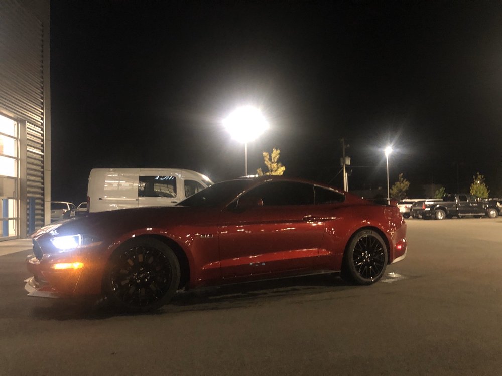 MCLARTY DANIEL FORD LINCOLN - 49 Photos & 74 Reviews - 2609 S Walton ...