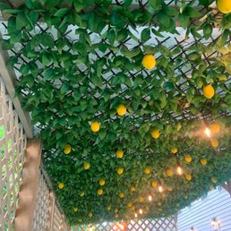 VILLA VERONE RISTORANTE ITALIANO - Updated July 2025 - 141 Photos & 353 ...