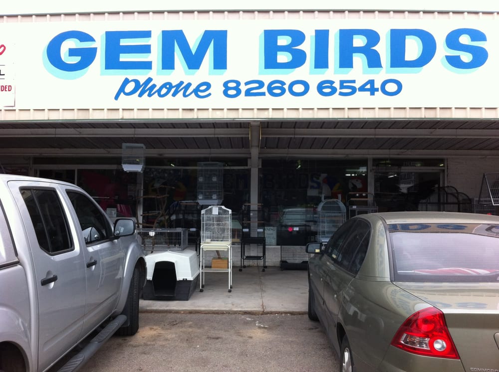 GEM BIRDS - 1173 Main North Rd, Pooraka South Australia, Australia ...