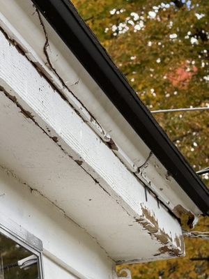 ADAM VAILLANCOURT ROOFING - Updated October 2025 - 60 Photos & 48 ...