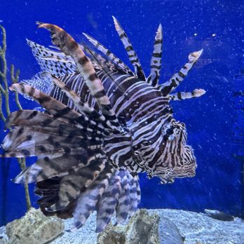 UGA MARINE EDUCATION CENTER & AQUARIUM - Updated August 2025 - 66 ...