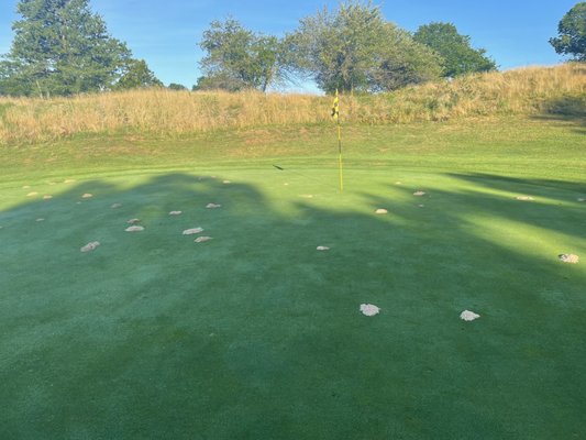 LINFIELD NATIONAL GOLF CLUB - Updated January 2025 - 22 Photos & 44 ...