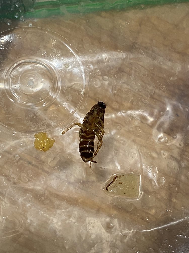 RICE INN - Updated June 2025 - 145 Photos & 177 Reviews - 5041 Library ...