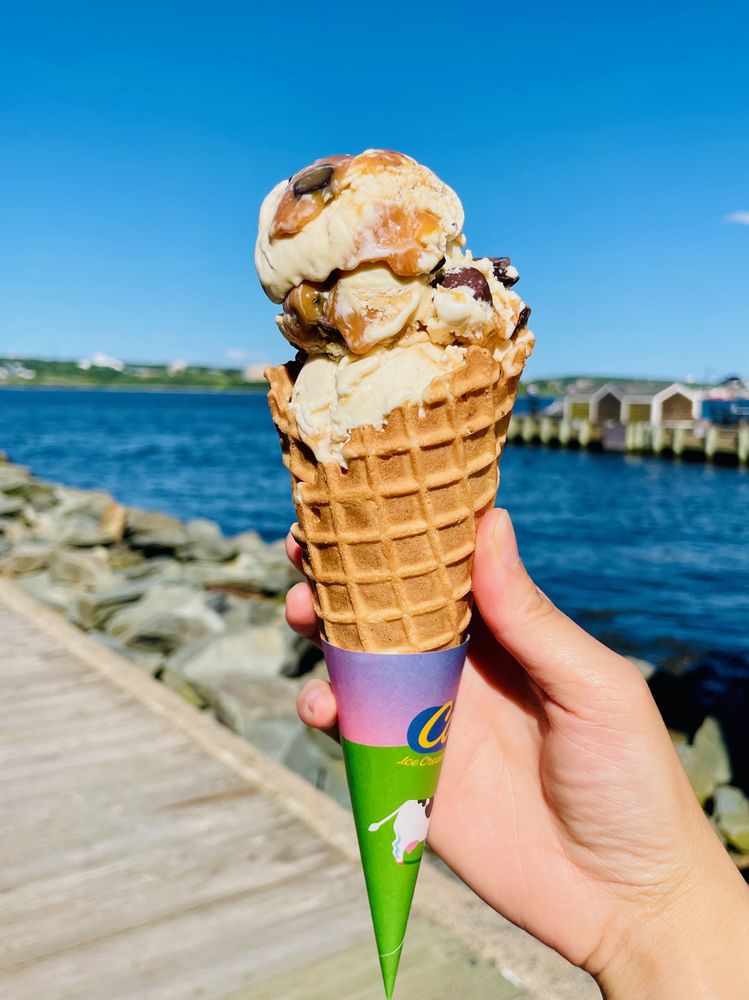 COWS - 63 Photos & 69 Reviews - 1891 Upper Water Street, Halifax, Nova ...