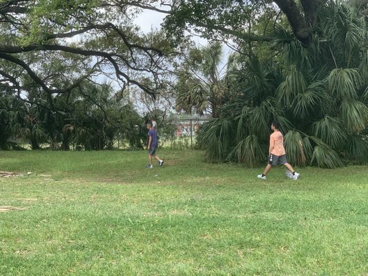 CITY PARK DISC GOLF COURSE - 26 Photos - 1 Palm Dr, New Orleans ...