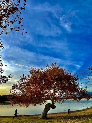 FRANK G. BONELLI REGIONAL PARK - 1086 Photos & 302 Reviews - 120 Via ...